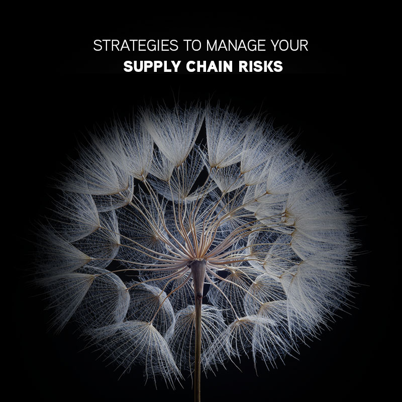 Checklist Cyber Supply Chain Risks